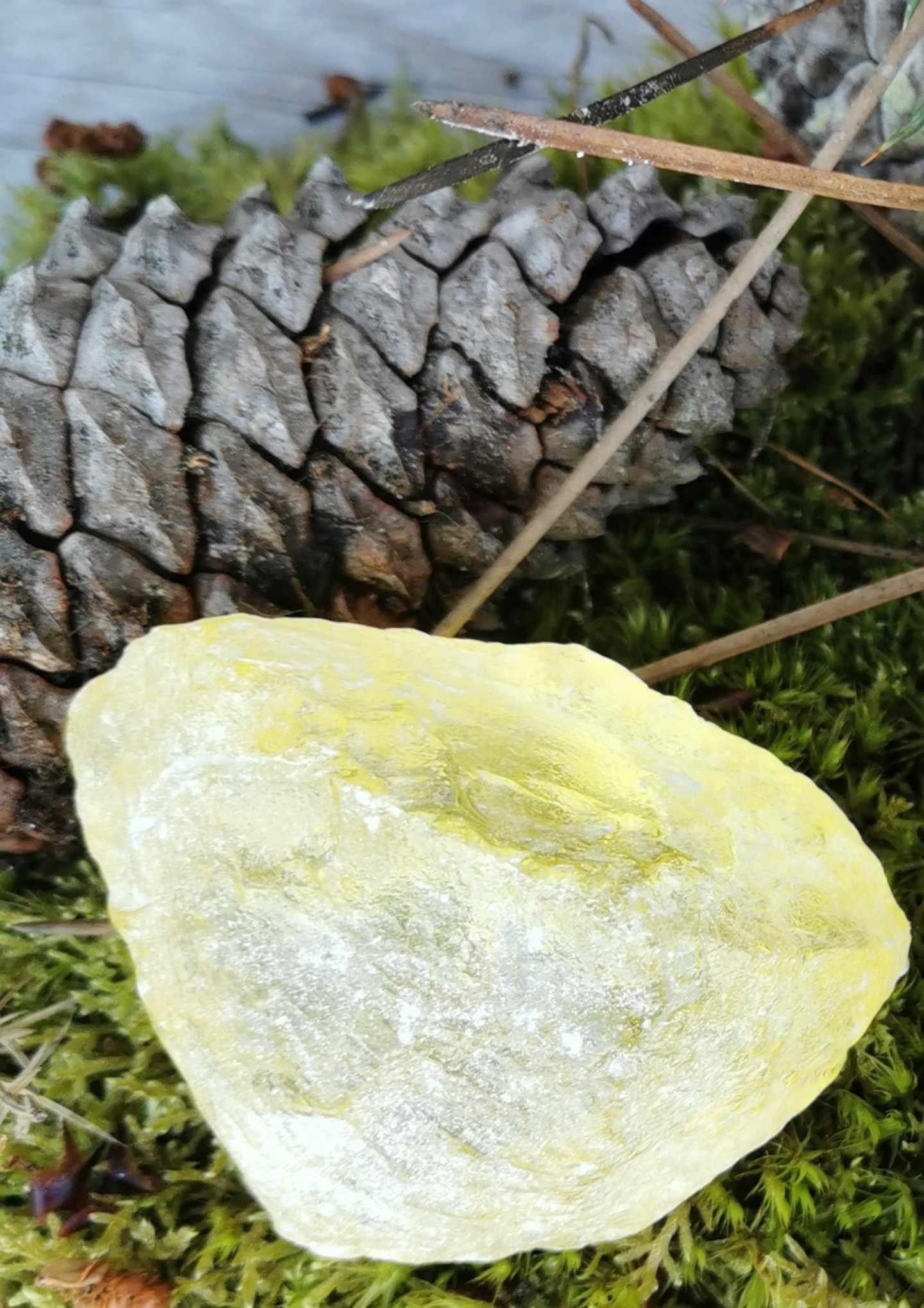 La colophane et les bateaux en bois, une si vieille histoire ….. D&P Green